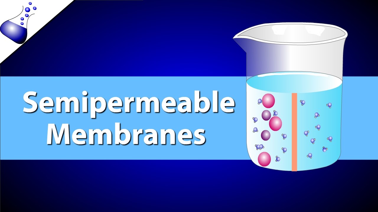 The Semipermeable Membrane