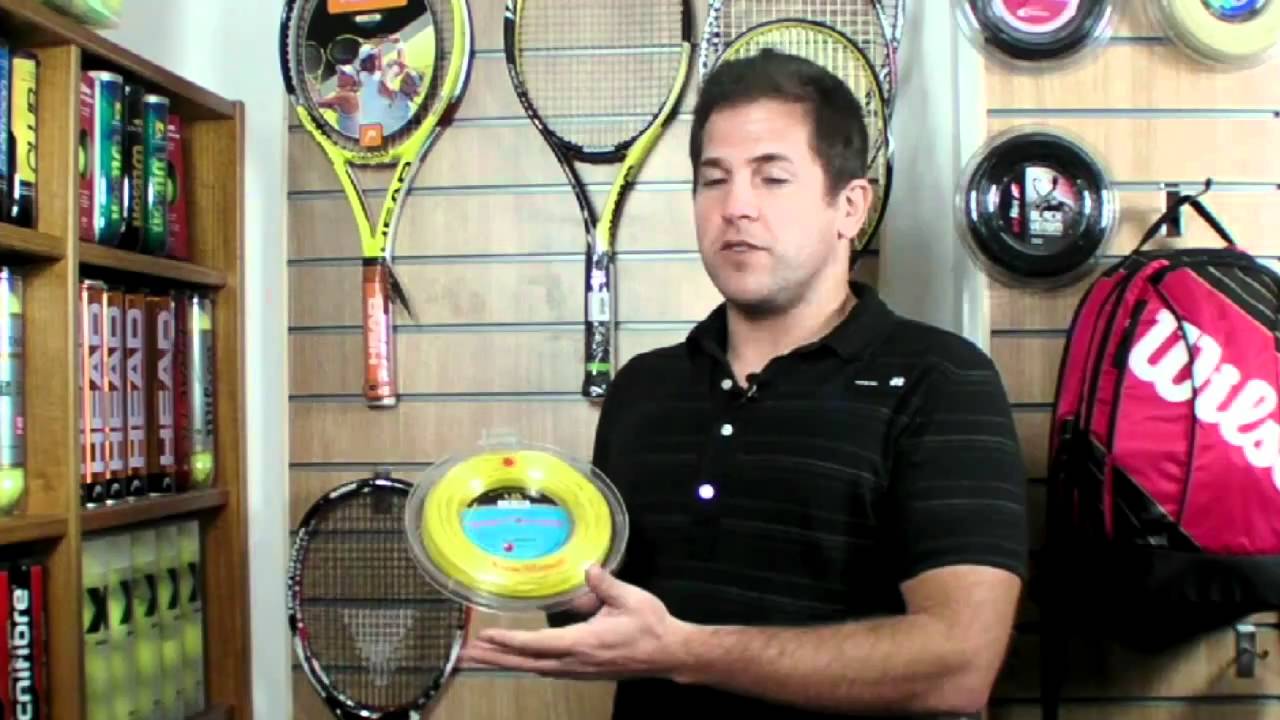 Stringers' World Kirschbaum Spiky Shark String Intro