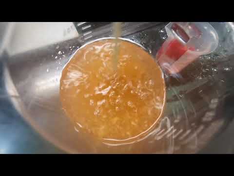 Virtual Visit: Grouper Slurry!