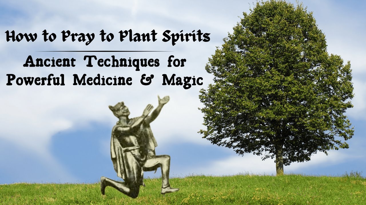 Engaging with Plant Spirits: Ancient Techniques for Prayer and Reciprocity | Galaxy.ai