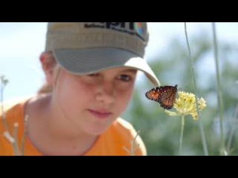 Learn how to be a citizen scientist through Nature's Notebook on SciStarter.