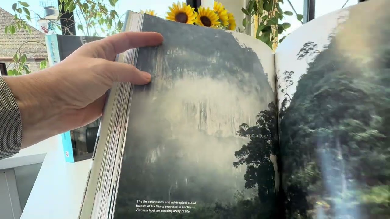 RARE TREES