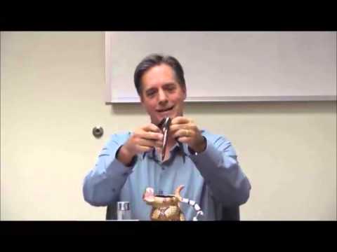 ICIP presents: Intellectual Property Licensing - Three Main Ways To Make Money on Your Invention