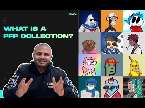 What is a PFP NFT collection?