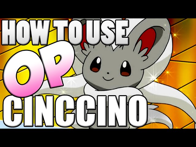 Cinccino Pokémon: How to catch, Stats, Moves, Strength, Weakness, Trivia, FAQs