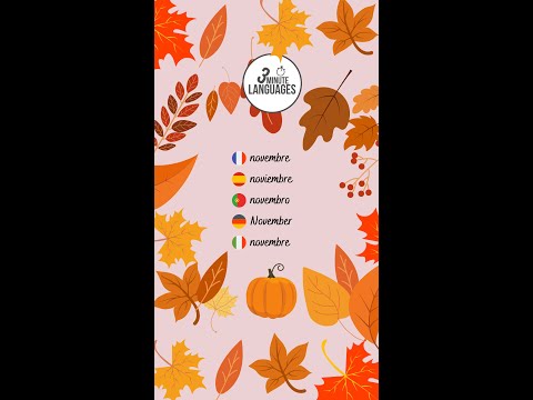 November | 3 Minute Languages