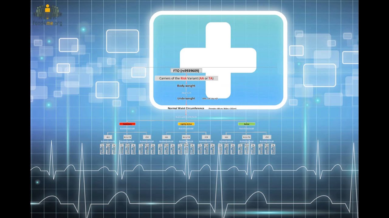 Food4Me Video on White Paper