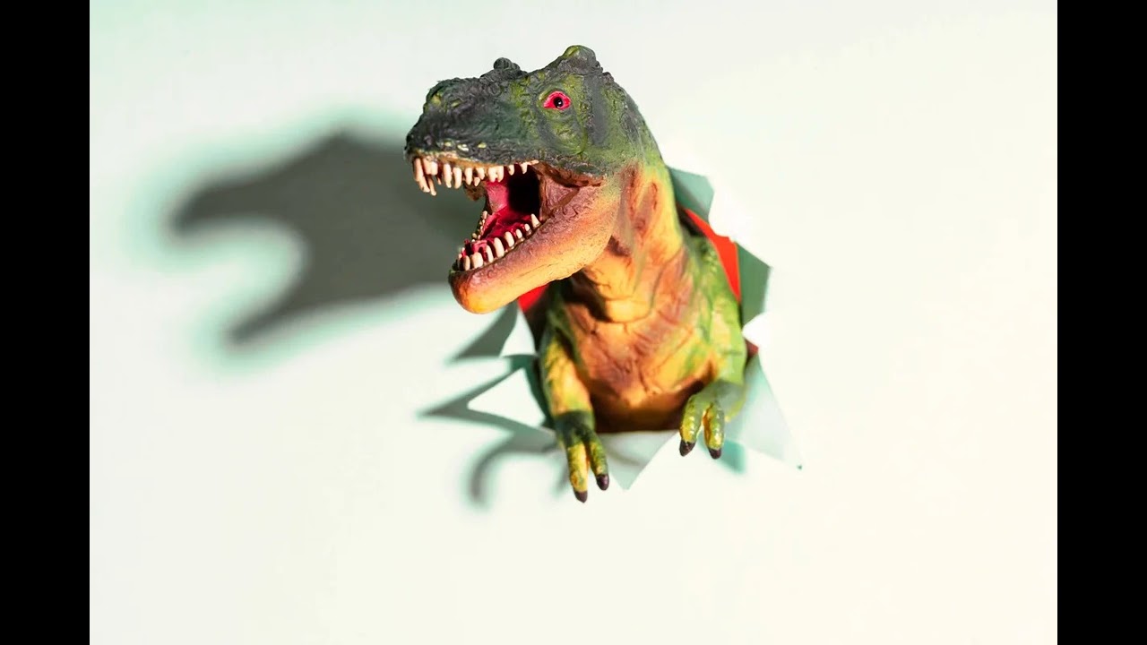 From Fossils to Film: 10 Essential Books Recommended by a Paleontologist