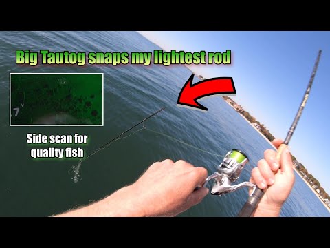 Big Tautog snaps my lightest rod/ Side scan use to target big fish/ Slider hook rig for whole crab