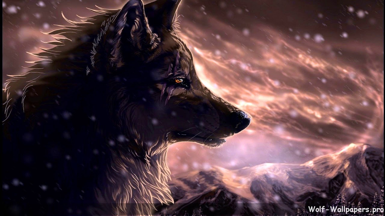Cool Wolf Backgrounds 4K