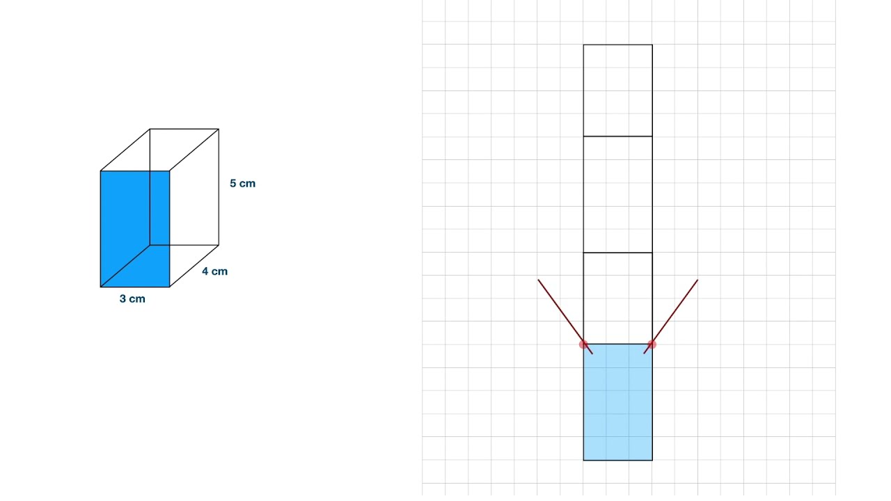 How to Draw the Net of a Rectangular Prism