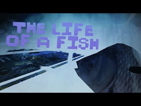 Steam Community :: Video :: The life of a fish (Gmod)