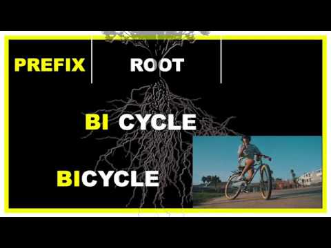 Episode 20: Prefixes & Suffixes