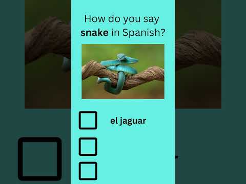 Spanish Rainforest Animal Quiz