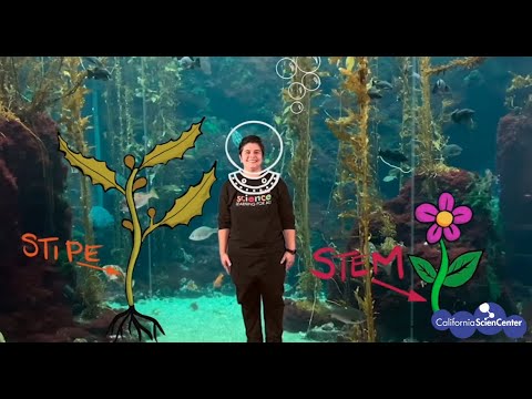 5th Grade Life Science - Virtual Field Trip | California Science Center