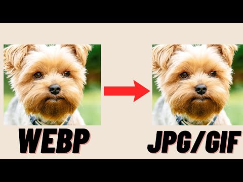 How to change WEBP files to JPG or GIF