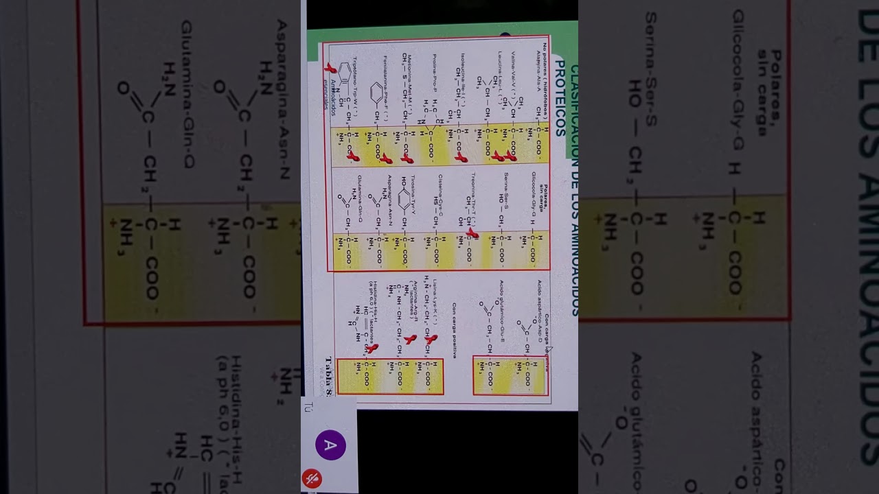 Bioquimica práctica 4