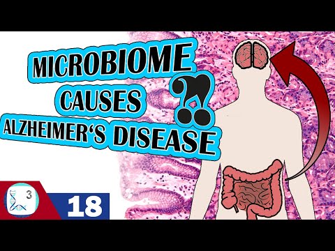 How do Gut Bacteria Cause Brain Diseases?