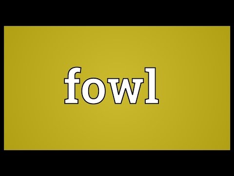 Fowl Meaning