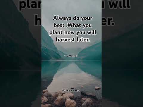 Always do your best | Inspirational quotes #shortsquotes #youtubeshorts