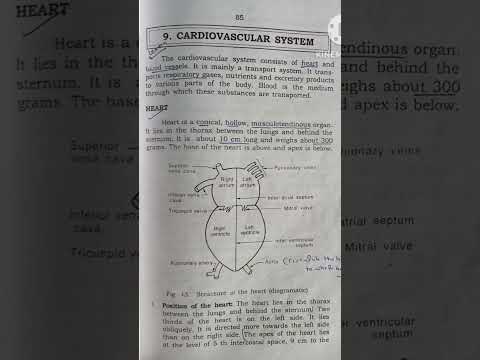 Anatomy and physiology of Heart (हृदय) #trending #important #dpharma #biology