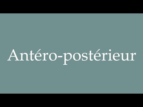 How to Pronounce ''Antéro-postérieur'' (Anteroposterior) Correctly in French