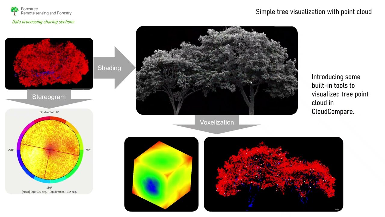 Simple tree visualization with point cloud in CloudCompare