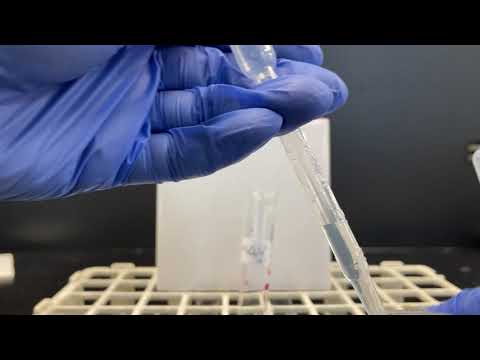 Redox Reaction Series: iron(II) sulphate + acidified potassium permanagate solution FeSO4 + KMnO4/H+