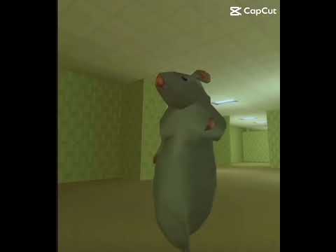 Rat Dance 🐀 (1 HOUR)