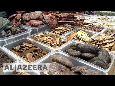 🇨🇳 Chinese traditional medicine gains popularity at home and abroad