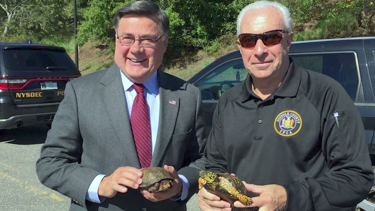 Ed Romaine For Suffolk