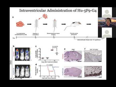 Macrophage Immunotherapy Against Pediatric Brain Cancers