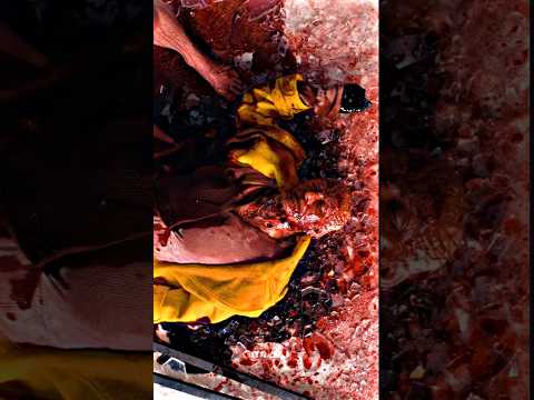 The Substance - Spece Wave #shorts