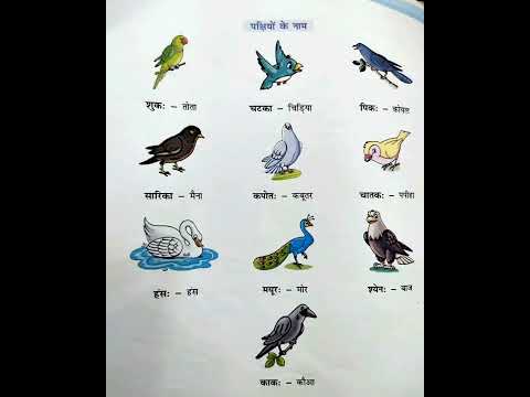 #sanskrit#birds in sanskrit