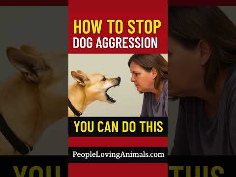 Why Your Dog Thinks Aggression is NECESSARY! #dogaggression #aggressivedogtraining #aggressivedog