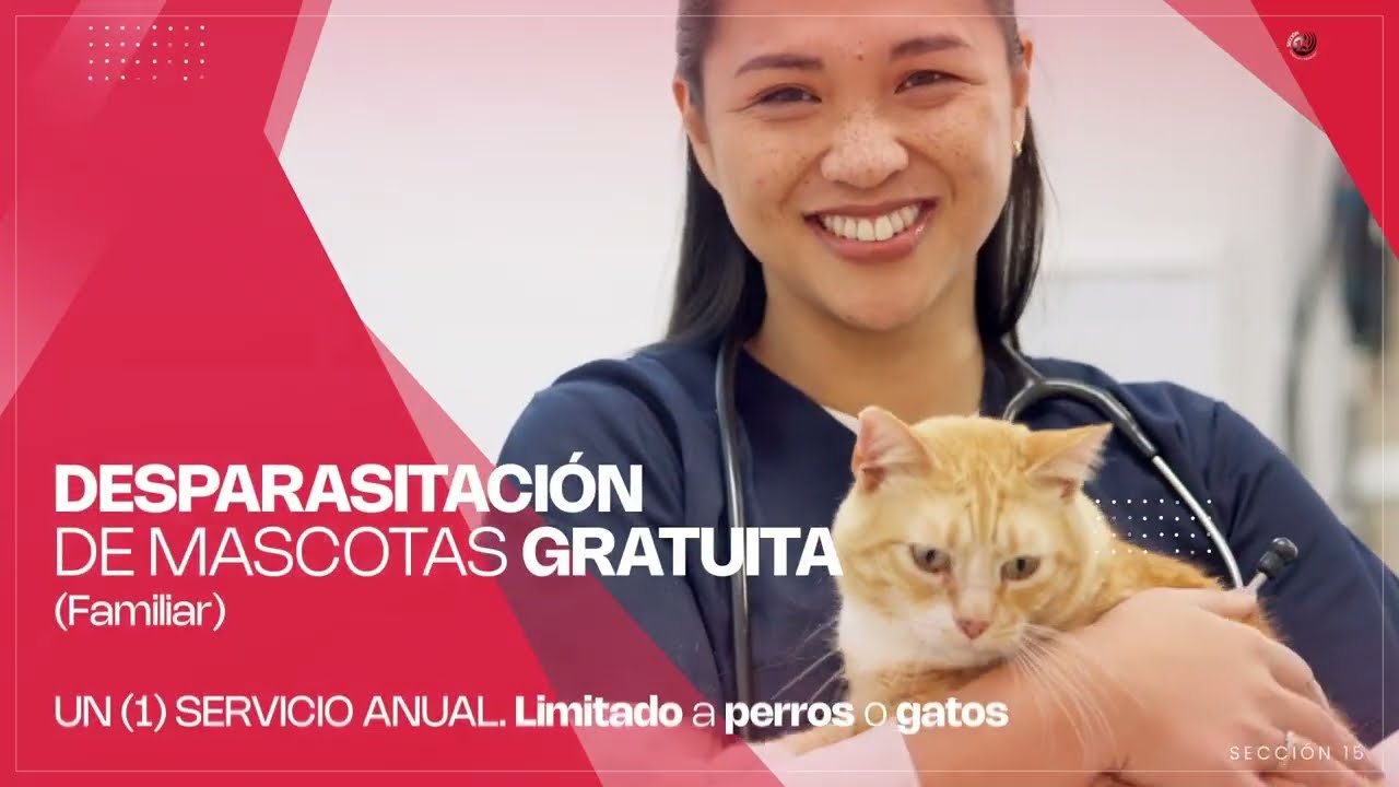 Programa de Beneficios 2025