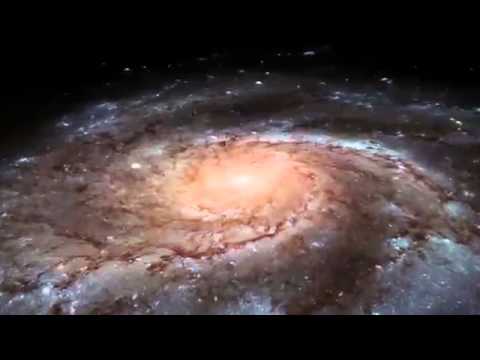 The BioCentrism Theory