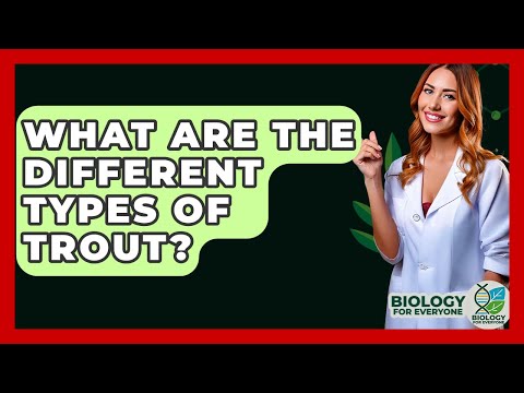 What Are The Different Types Of Trout? - Biology For Everyone