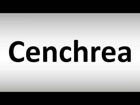 How to Pronounce Cenchrea