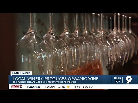 Old Pueblo Cellars Vineyard