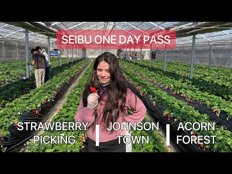 Exploring Saitama, Japan | Seibu One Day Pass