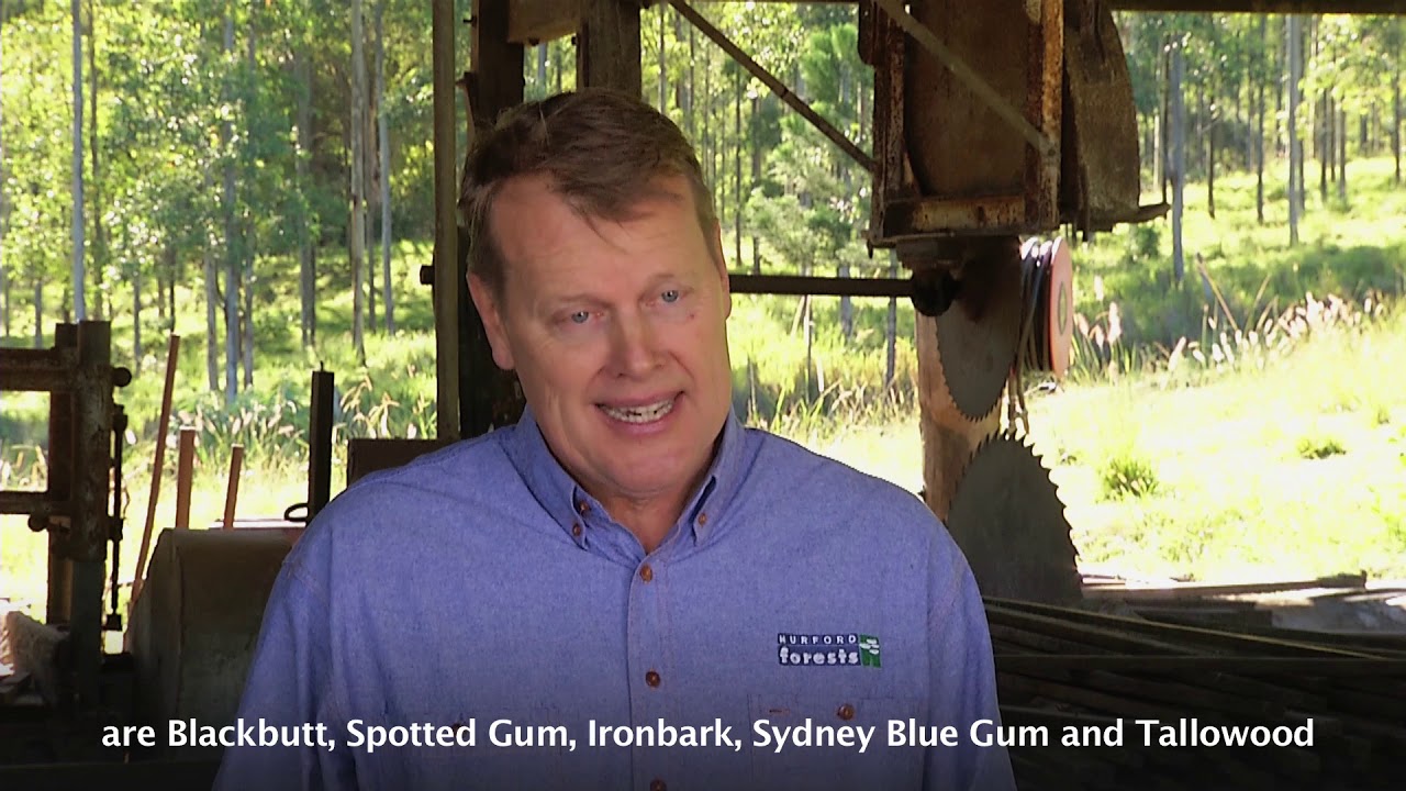 Private Native Forestry at Hurfords Hardwood