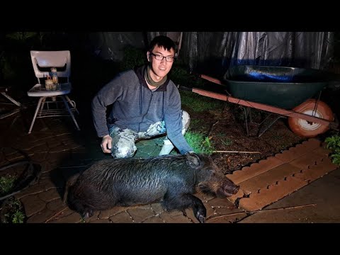 Wild Game meat care. preparing meat for freezer