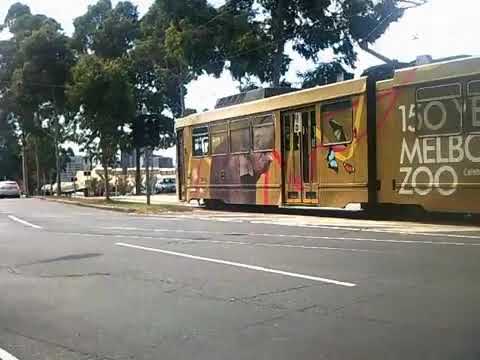 Melbourne Zoo 150 years tram B 2064 Victoria Market