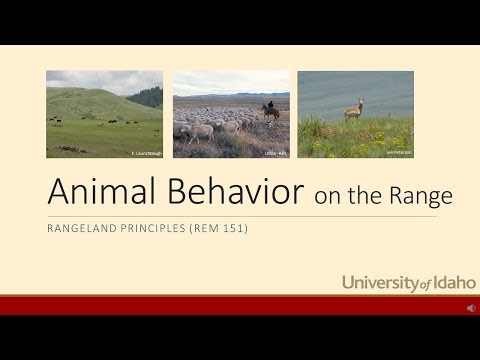 Range Animal Behavior