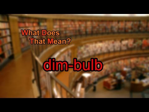 What does dim-bulb mean?