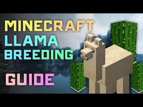 How to Tame and Breed Llamas in Minecraft: Complete Guide!