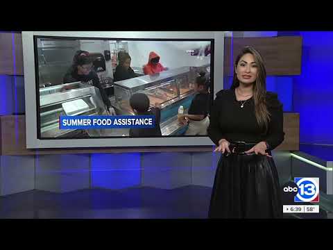 Texas misses federal deadline to apply for food assistance program