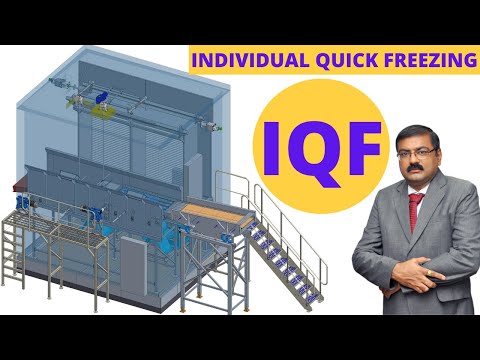 Iqf | iqf freezer |iqf shrimp processing | iqf technology | individual quick freezing |freezing #iqf