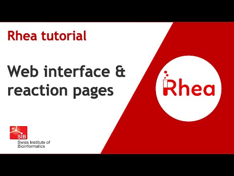 The Rhea knowledgebase: web interface & reaction pages – Guided tour #2